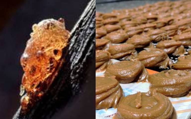 ¿Jamoncillos de chúcata? También saben deliciosos, conoce la receta