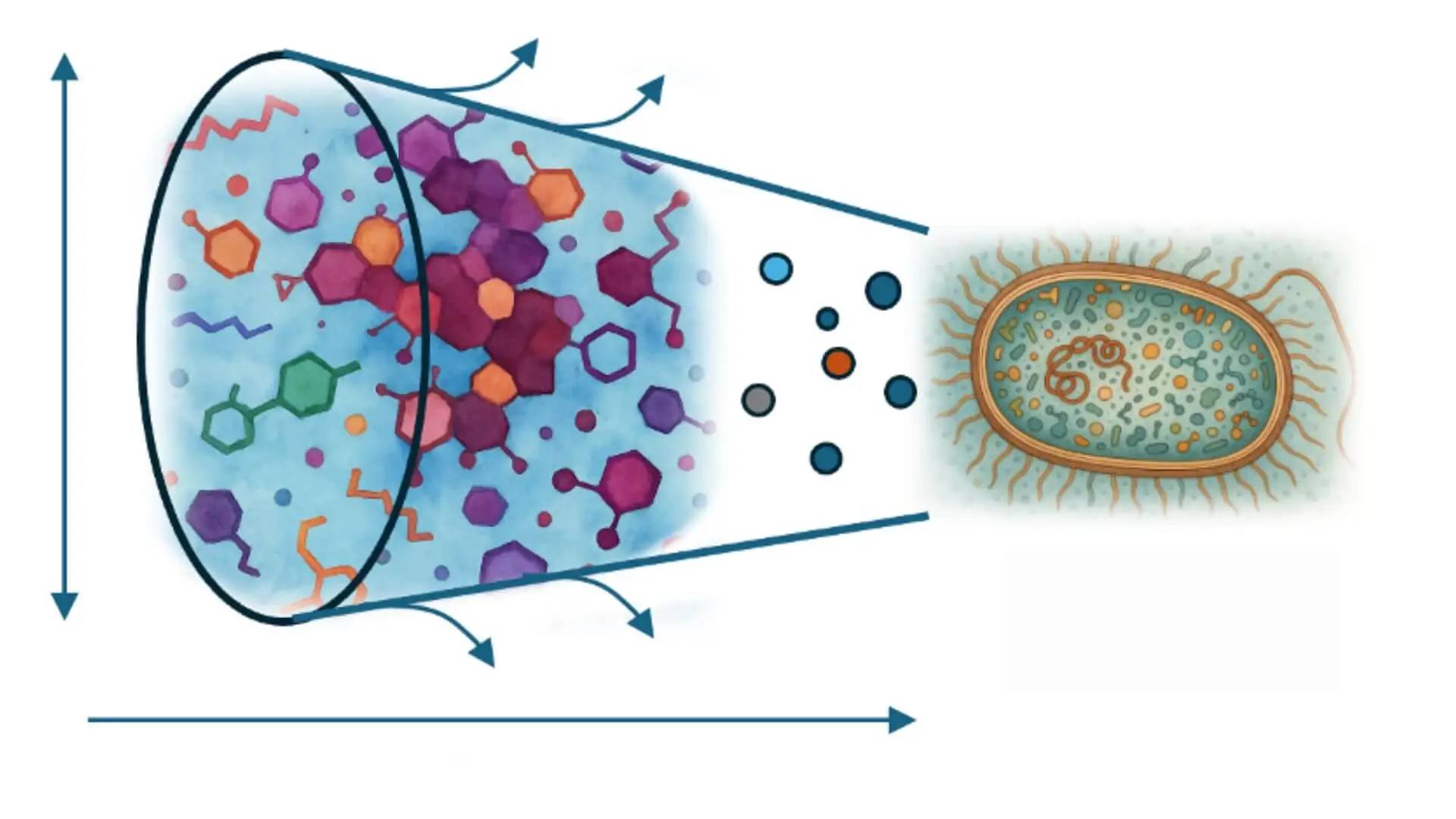 El Eco del Océano Primordial: De las Protocélulas al Útero Materno